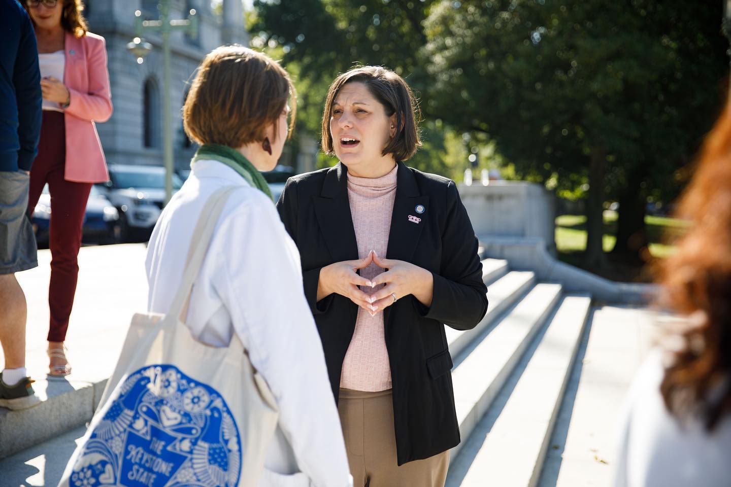 Senator proposes liability insurance for gun owners | News, Sports ...